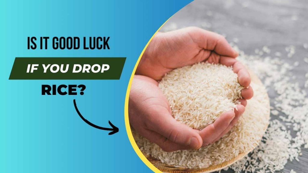 Foods Good Luck - Good Luck Info