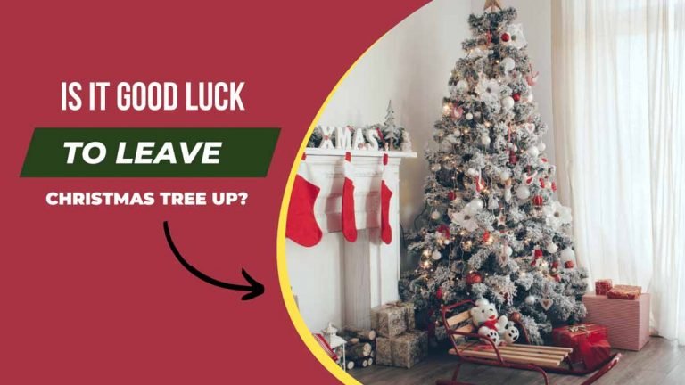 Is it Good Luck to Leave Christmas Tree Up? (Answered!) - Good Luck Info